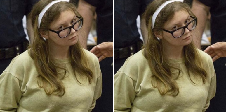 Who Is Anna Sorokin Aka Anna Delvey New Details On The Fake Heiress Whos Been Charged With